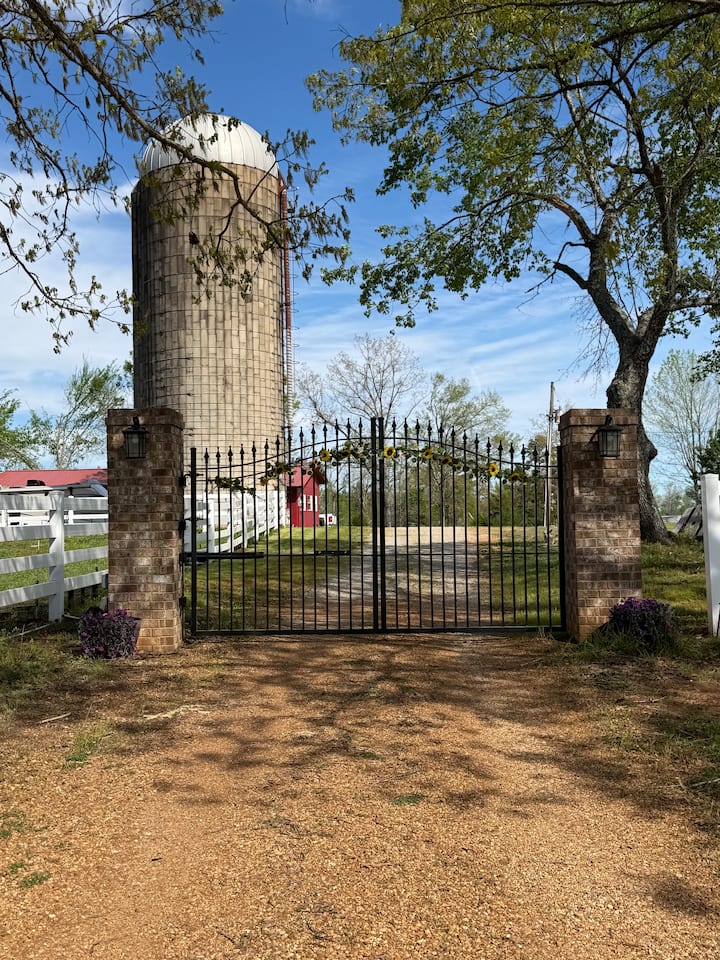 Got Milk? - Mississippi