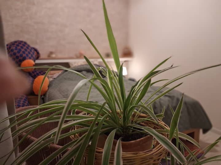 Cozy Apartment In Schönefeld Near Airport - Berlin