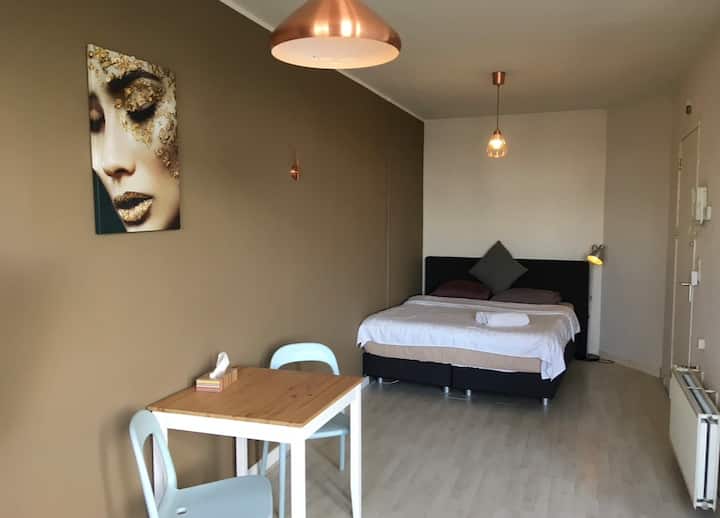 13 Min From Central Station Apartment - Amsterdam