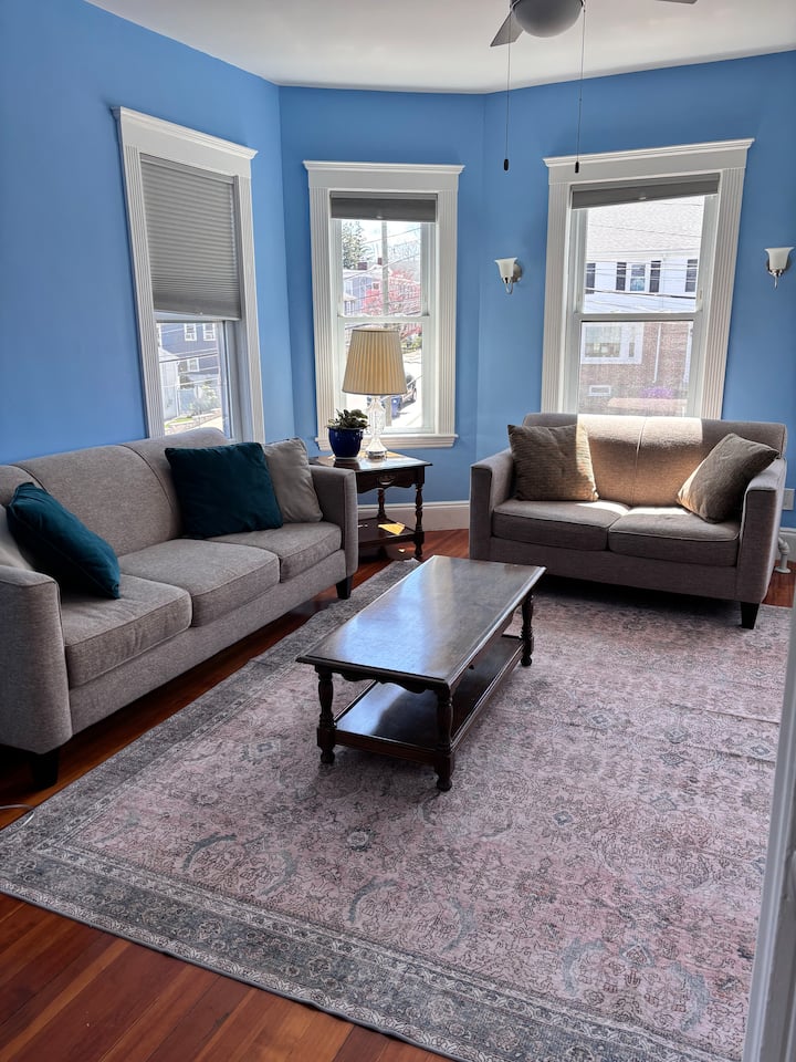 Light Filled Apartment In Roslindale - Boston, MA