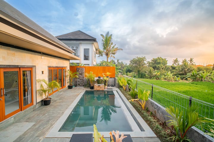 Ubud Tropical Modern Luxury Meet Serene Ricefields - Indonesia