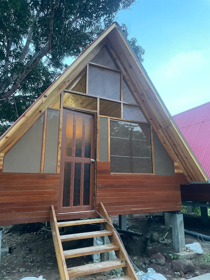Cabaña En El Bosque Con Piscina Semiolimpica - San Ramón