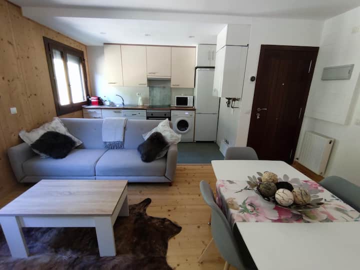 Appartement Castiello De Jaca, 3 Pièces, 6 Pers. - Jaca