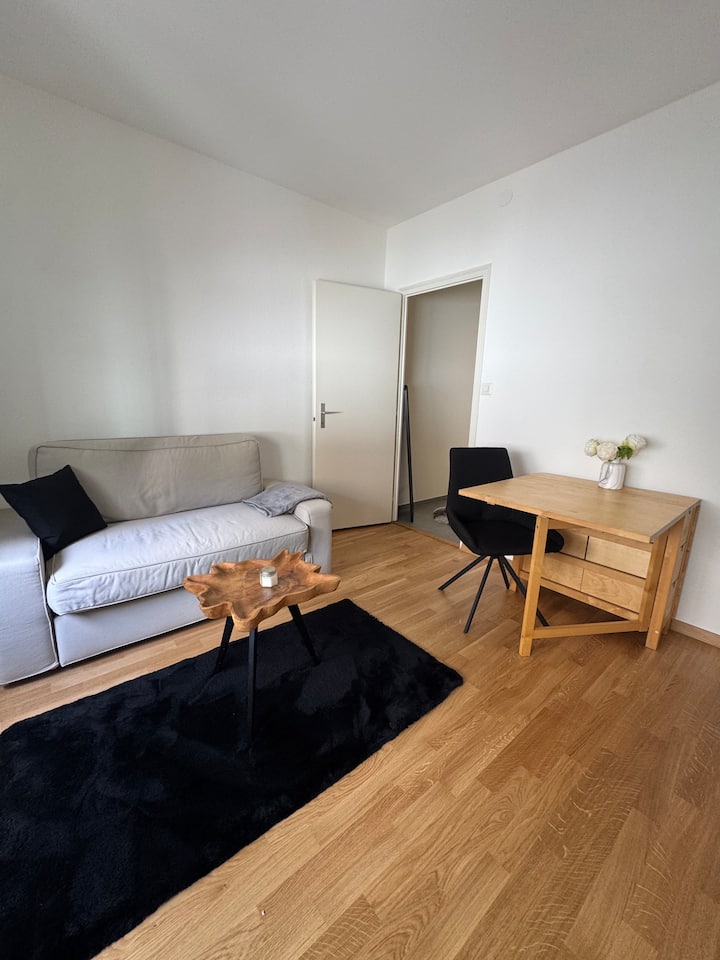 Studio Centre Ville - Renens