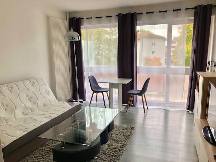 L’essentiel | Studio à 2 Pas De Genève | Calme - Gaillard