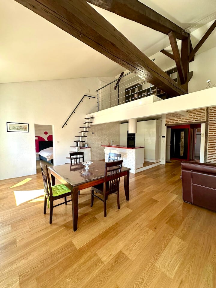 La Madeleine De La Cathédrale - T3 Centre Clim - Albí