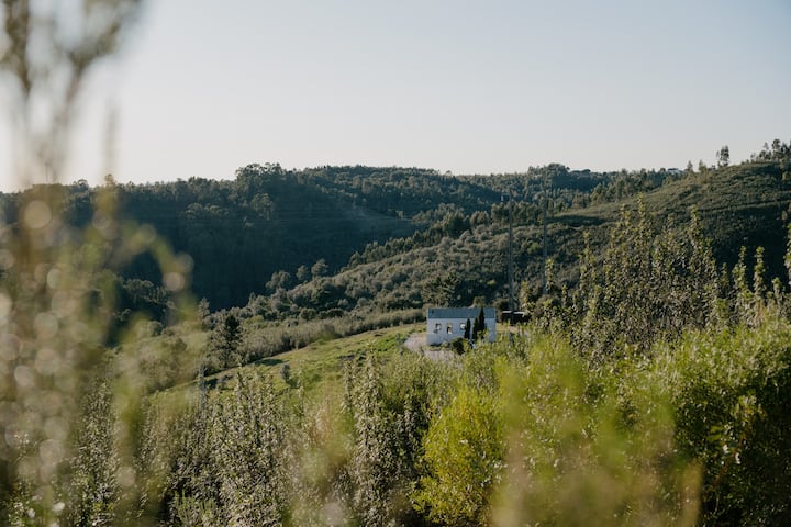 Secluded Cabin Retreat With Panoramic Views - Abrantes
