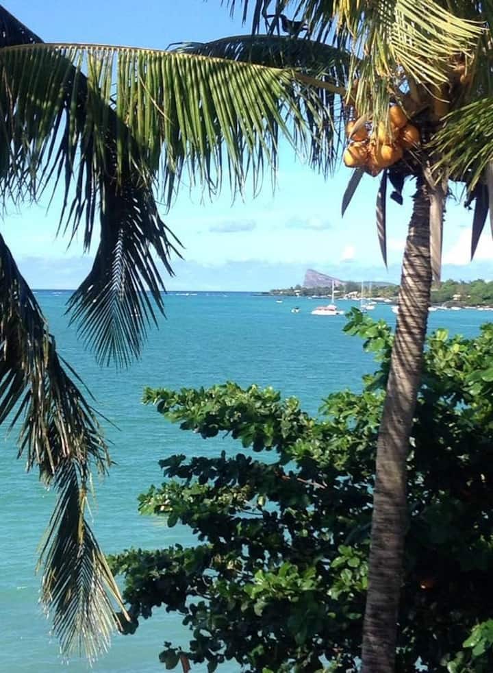 Appartement - Mauritius