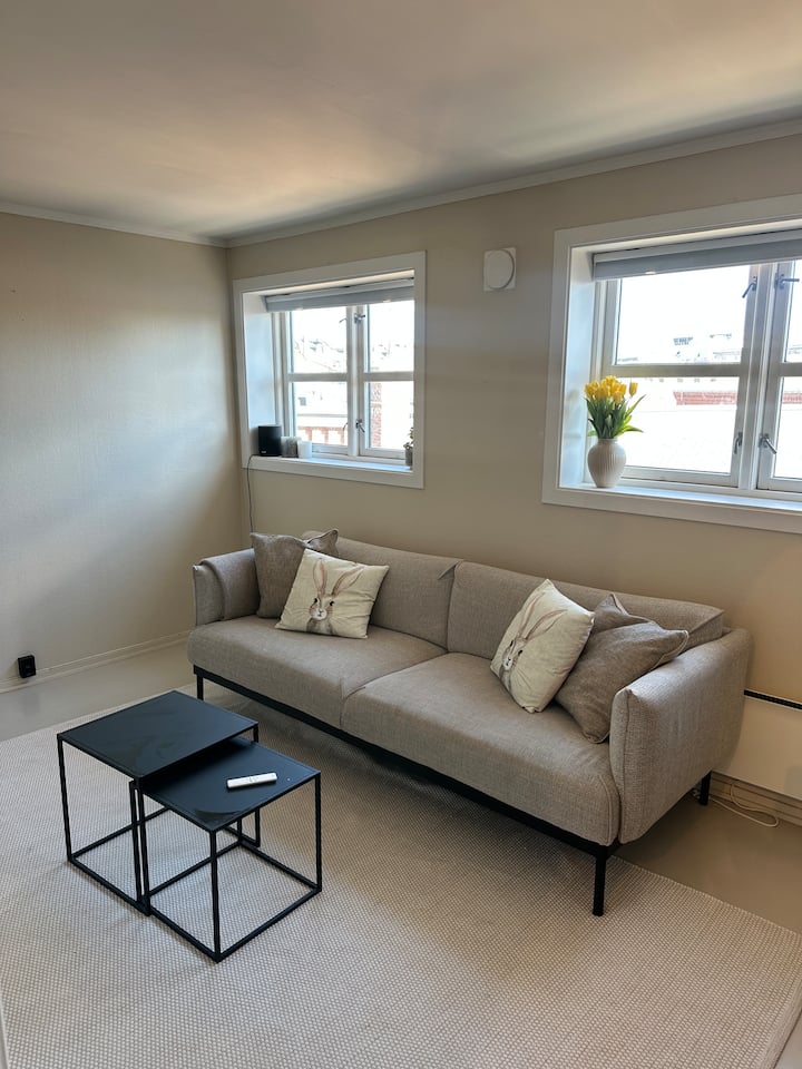 Moderne Og Komfortabel Leilighet I Hjertet Av Oslo - Oslo