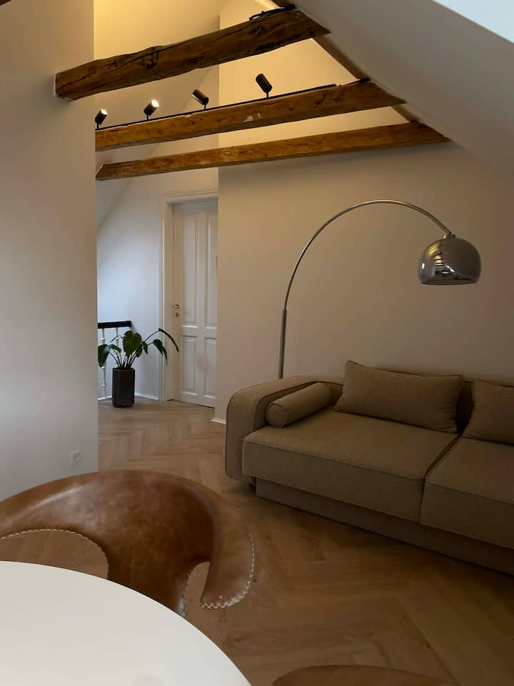 Nyrenoveret Lejlighed I Central Aarhus. - Aarhus