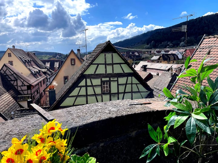 Le Fauconnier - Riquewihr - Ribeauvillé