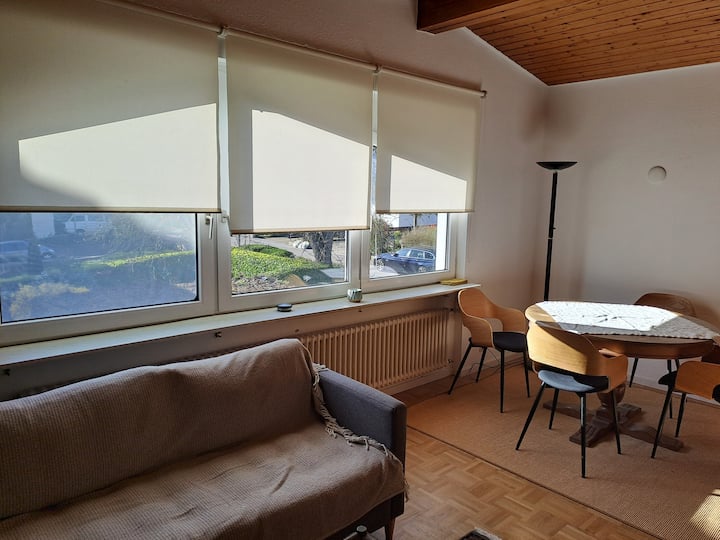 Schöne Wohnung Nähe Basel - Grenzach-Wyhlen