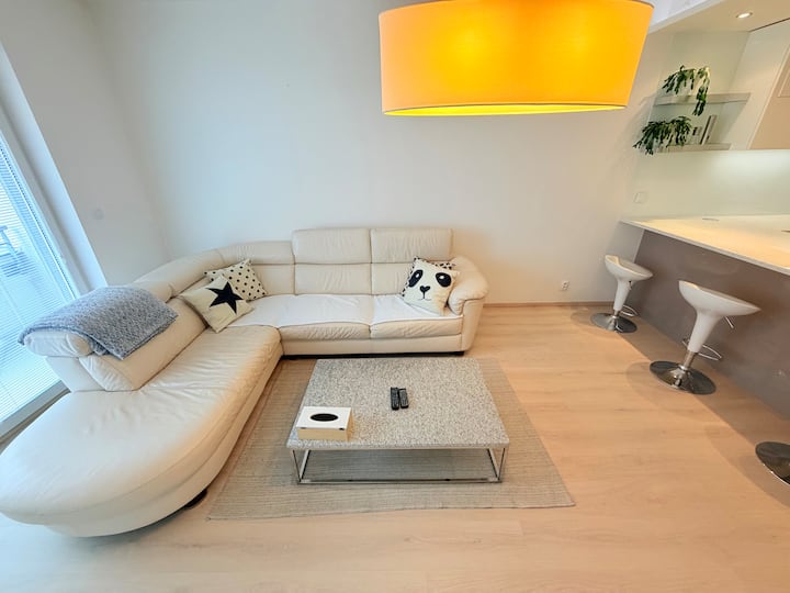 Prostorný Světlý Byt - Prague Václav Havel Airport (PRG)