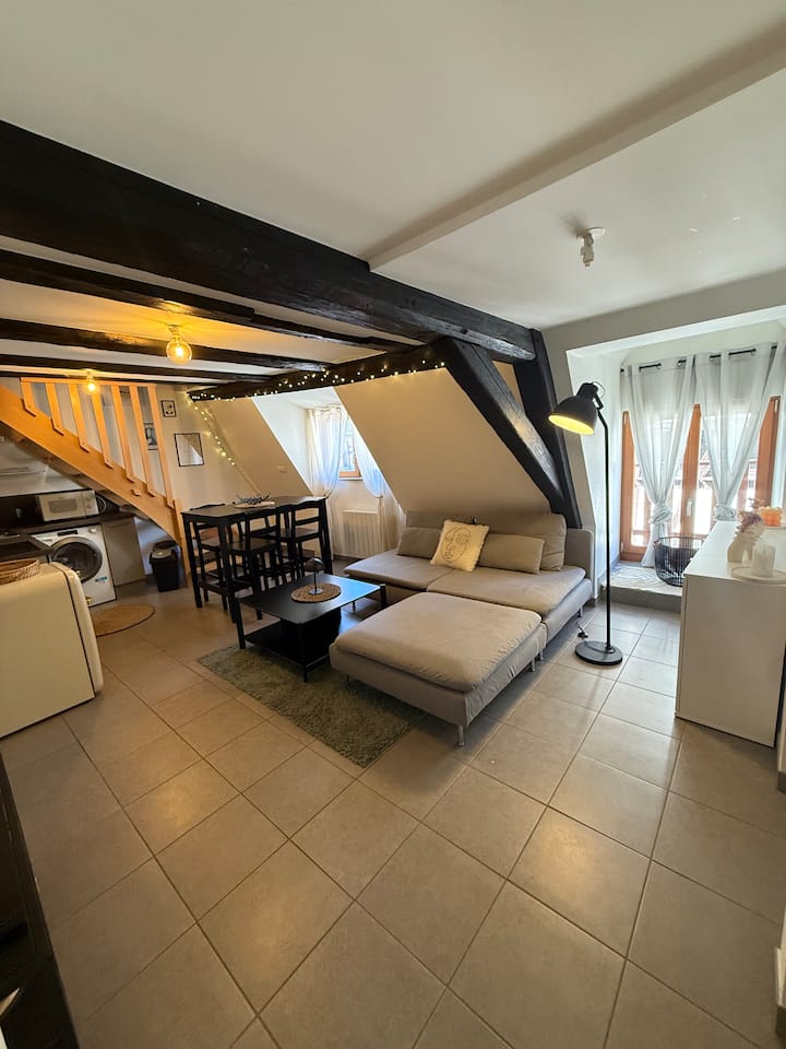 Appartement En Duplex Au Centre-ville De Sélestat - Sélestat