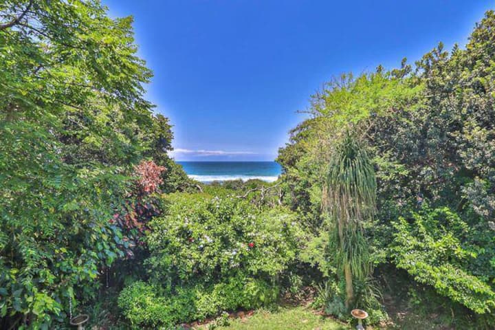 Beach Bums - Pennington