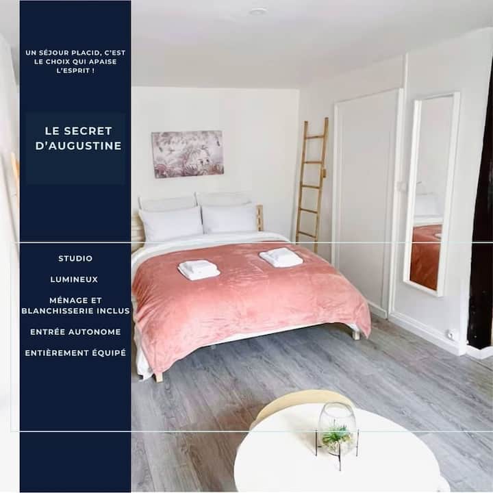 Le Secret D’augustine, Apt 26m² Hyper Centre Arras - Arras