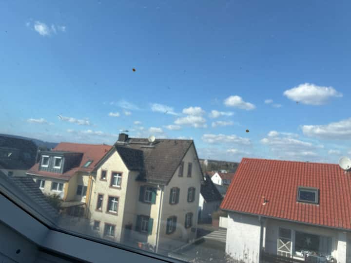 Attic Room In Beautiful Bad Homburg - Bad Homburg