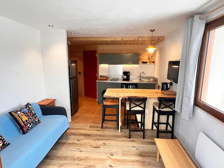 L'appartement Plainpalais - Lescheraines