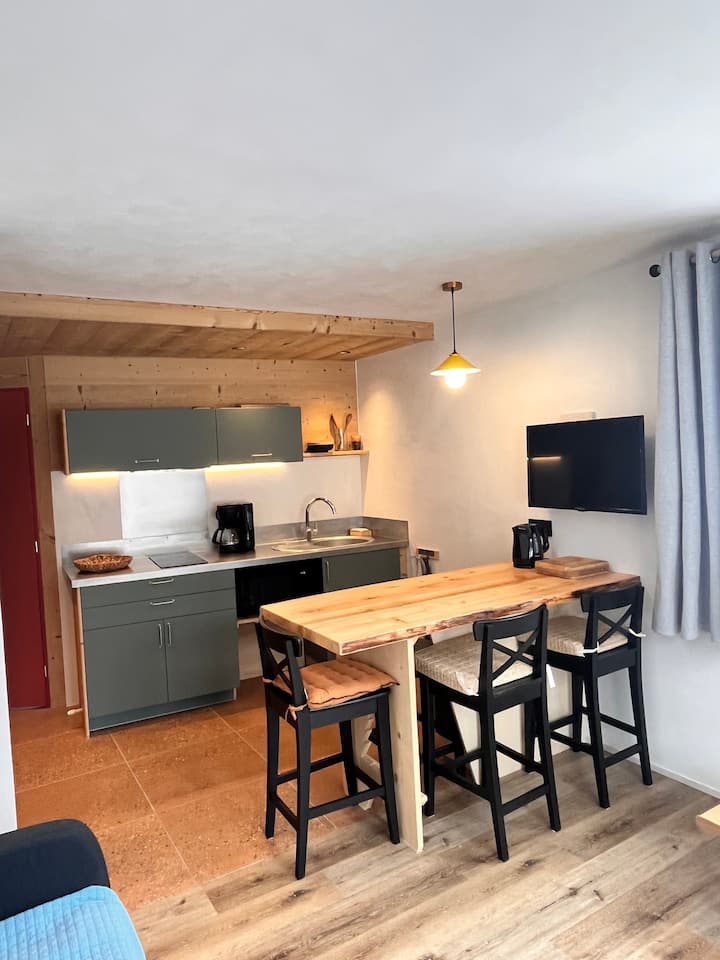 L'appartement Plainpalais - Lescheraines