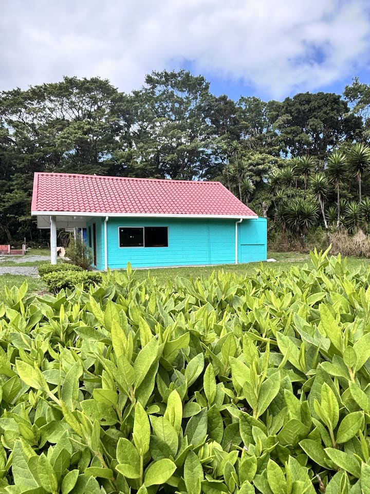 Cabinas San Vicente - Cabina Acuarelas - Ciudad Quesada