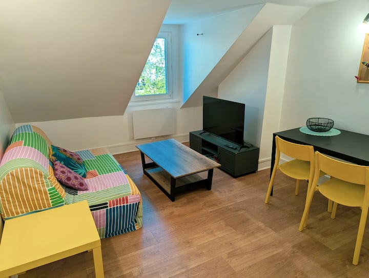 Studio Calme Sous Les Toits - France