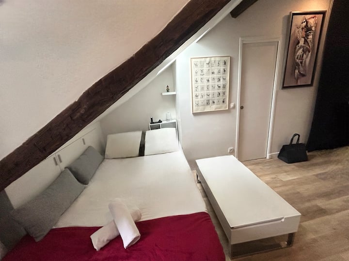 Charmant Studio Cosy, Calme En Plein Cœur De Paris - París