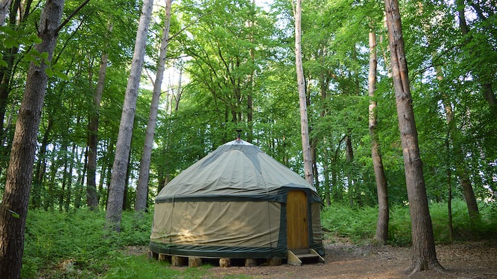 Private Woodland Yurt, Fire, Your Own Space - Petersfield