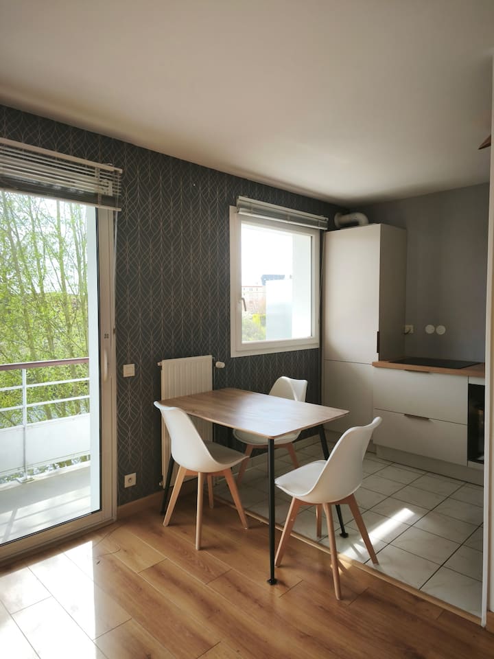 Appartement Centre Avec Vue Sur La Vilaine - Rennes