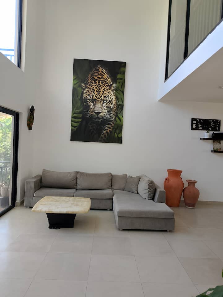 Depa Entero En Puerto Aventuras Desde $1100 Mxn - Puerto Aventuras