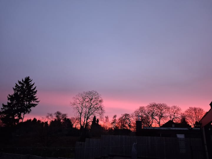 Minimalistische Natuurstudio Met Vuurplek. - Leuven