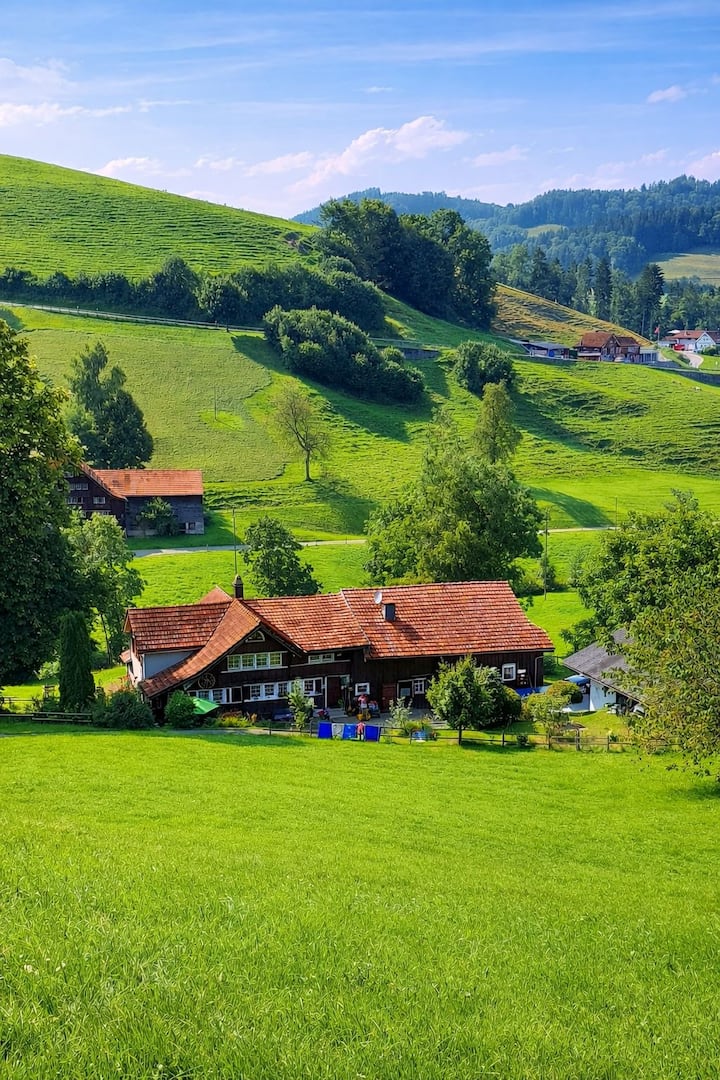 Appenzellerhaus Unterm Lindenbaum - Appenzell Ausserrhoden