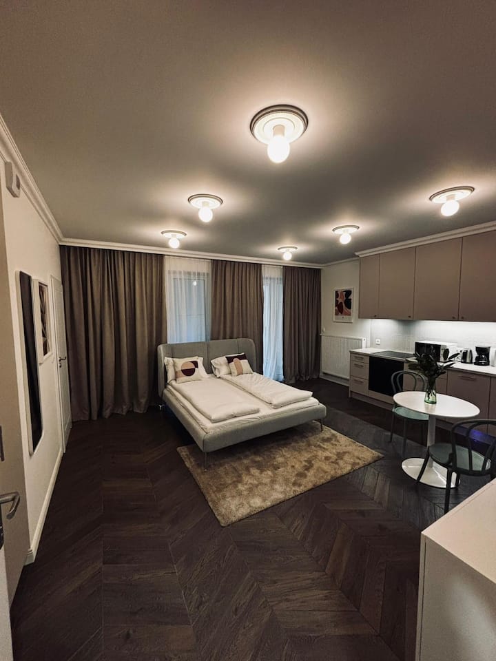 Przytulne I Ciche Mieszkanie W Sercu Poznania (10) - Poznań