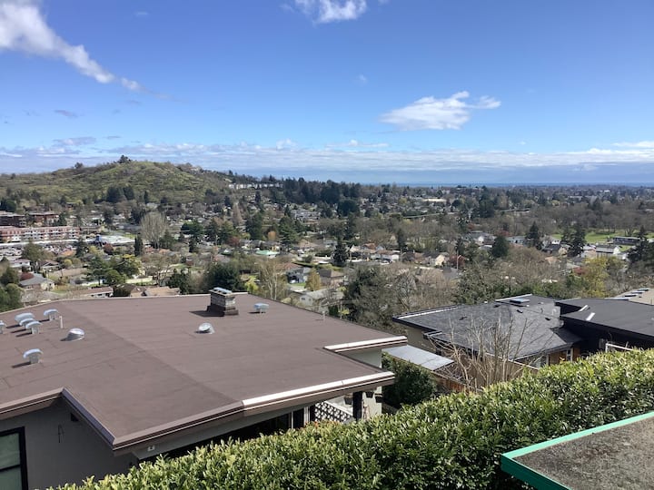 2 Br City View Great Location In Victoria Bc - Victoria