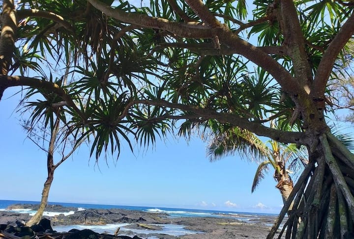 Garden Balcony • Walk To Beach + Kitchen - Hilo, HI