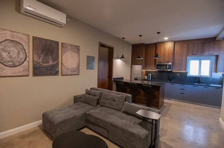 Ejecutivo Penthouse.7 ~ Terraza Privada + Factura - Hermosillo