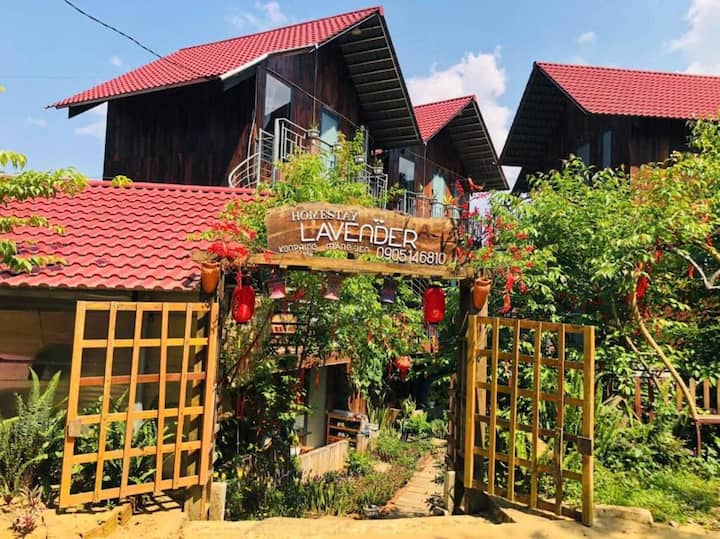 Phòng Giường ĐôI - Lavender Homestay Măng ĐEn - Quảng Ngãi