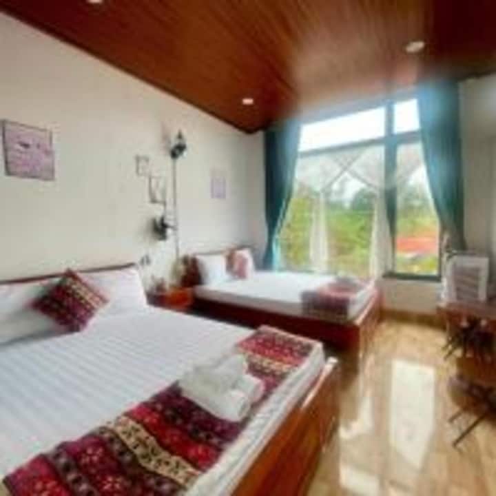 Phòng 4 Người - Lavender Homestay Măng ĐEn - Quảng Ngãi