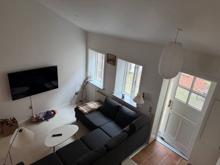 Silvernales Lille Byhus - Ribe