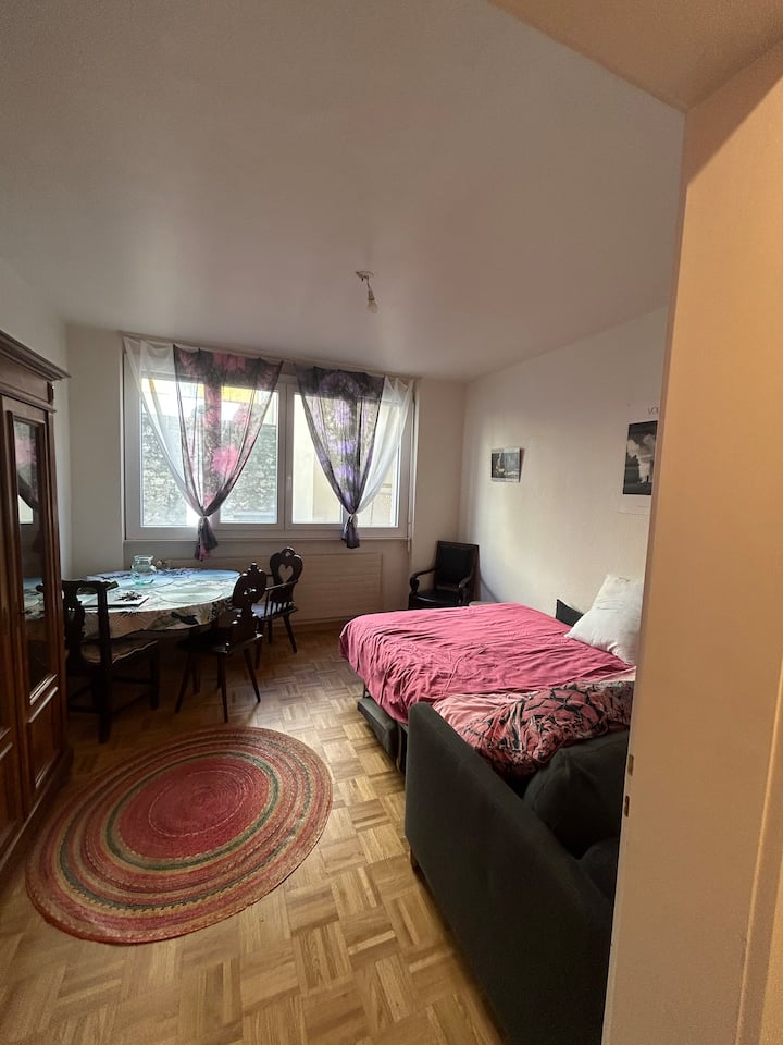 Plainpalais - No Frills 2 - One Bedroom Flat. - Geneva