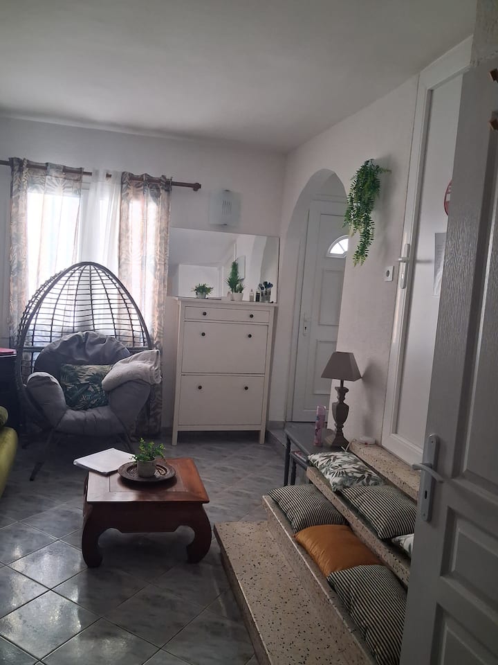 Maison De Village Avec Cour Privative - Mirepeisset
