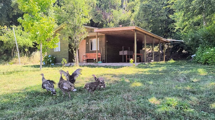 Cabaña En Pejerrey Achibueno - Linares, Chile