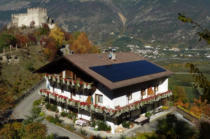 Urlaub Auf Dem Bauernhof
Ferienwohnung Martell - Coldrano