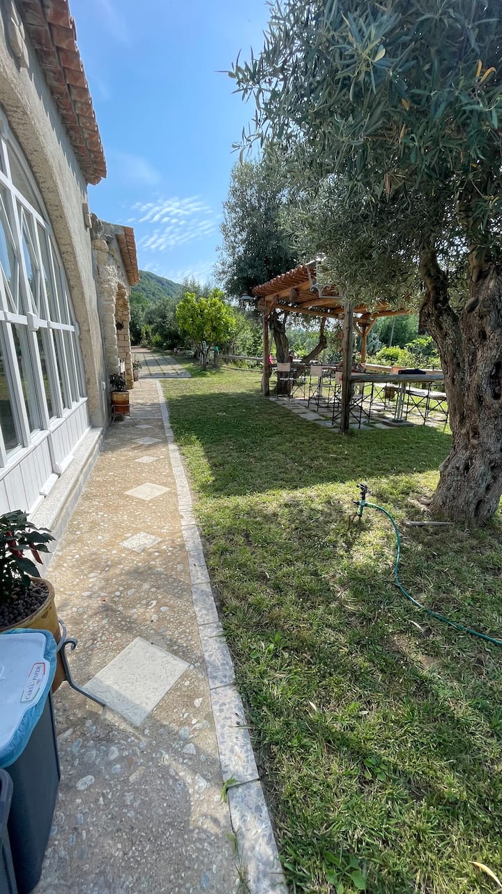 Casa Vacanze Il Nido Del Merlo 4 Posti Letto - Tropea