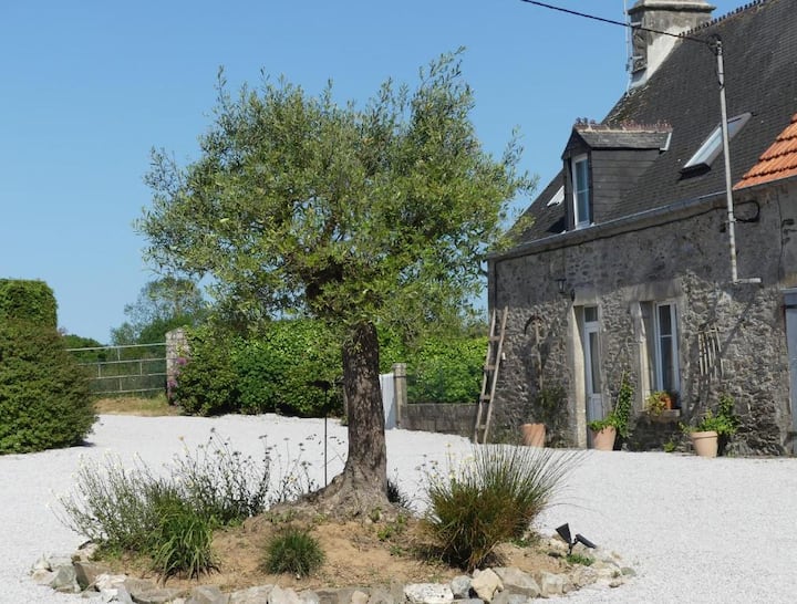 Ode à La Nature - Barfleur