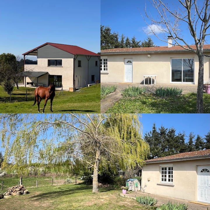 Domaine Landuziere (18 Personnes) - Saint-Étienne