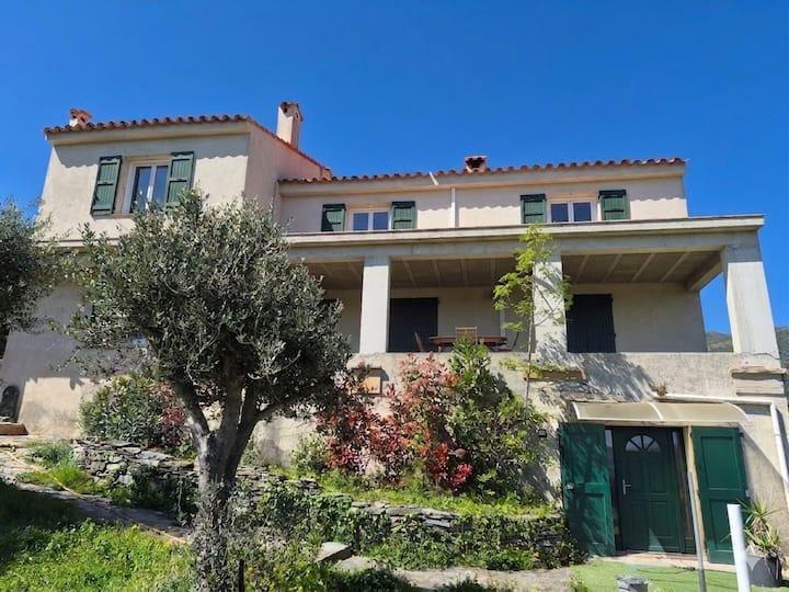 Villa Saint Jacques Sur Les Hauteurs De Bastia - Bastia