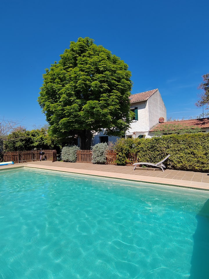 Maison Provençale Avec Piscine - Sanary-sur-Mer