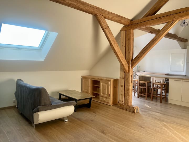Charmant Appartement Neuf - La Roche-sur-Foron