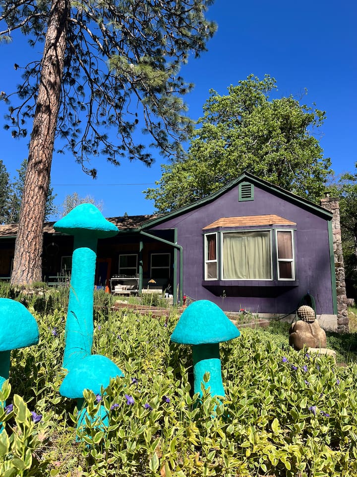 Sweet One-bedroom Home Near Beautiful Mt Shasta - McCloud, CA