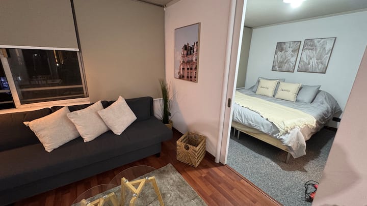 Departamento Con Excelente Conectividad - Santiago